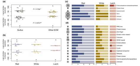 真菌基因组研究高分策略（二）：比较基因组揭示寄主外生菌根真菌基因组的动态进化 知乎