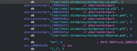 How Adload Macos Malware Continues To Adapt And Evade Sentinellabs