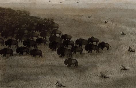 What Really Happened During An Ancient Buffalo Jump Hunt Meateater