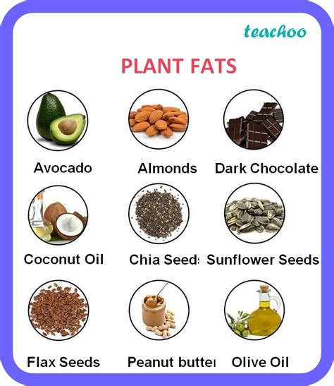 Lipids Examples Food