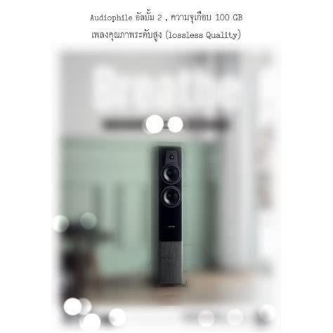 usb hi res audio เพลง usb เพลงฮิต คุณภาพระดับ audiophile 2