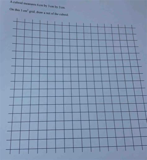 Solved A Cuboid Measures 6cm By 3cm By 2cm On This 1cm 2 Grid Draw A