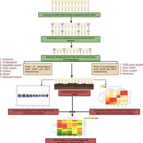 Overall Workflow Figure The Green Part Is Showing The Screening Of