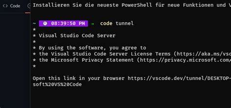 Install Vs Code Server When Its Running · Issue 38 · Nuxtdevtools