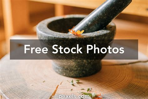 Stump Grinding S Photos Download The Best Free Stump Grinding S Stock