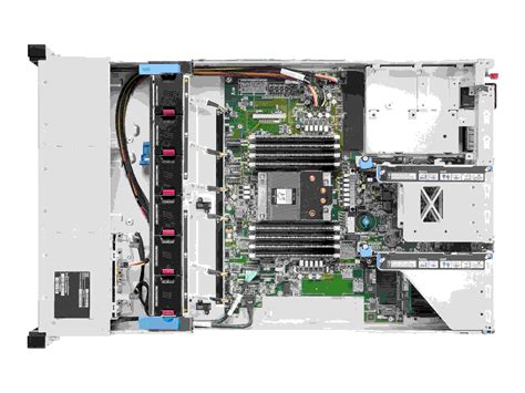 Hpe Proliant Dl Gen Plus Entry Shi