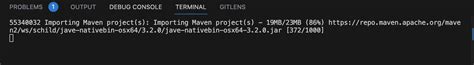 vscode java 项目启动没有按照 配置的 maven setting 导致启动失败 v2ex