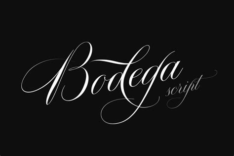 Bodega Script Font Weblord