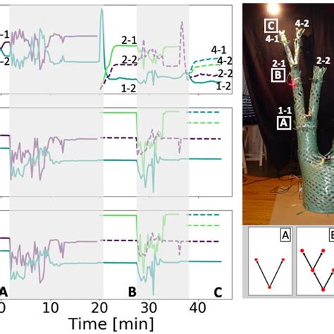 An Example One Dimensional VMC Graph Download Scientific Diagram