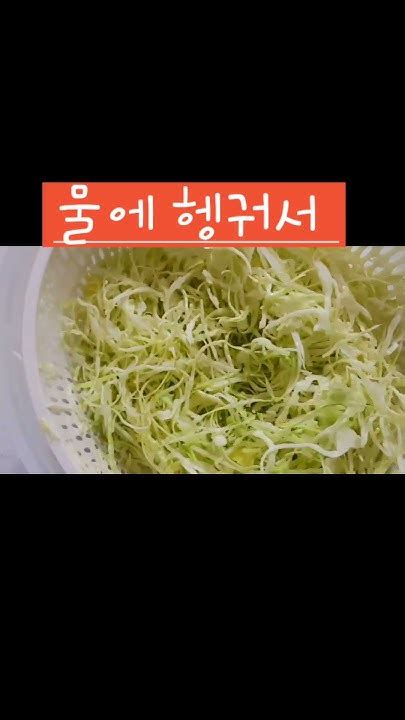 일식집 양배추처럼 얇게 써는 방법 채칼추천 양배추 많이 먹는 법 Feat 대흥점보채칼 Youtube