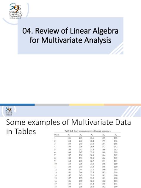Review Of Linear Algebra Fo Ma Pdf