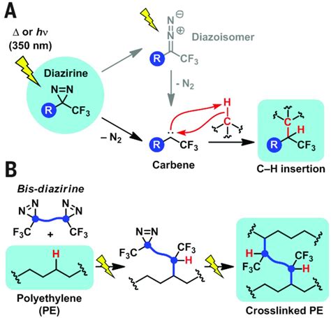 A Broadly Applicable Cross Linker For Aliphatic Polymers Containing Ch Bonds Science