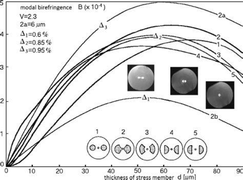 Polarization Maintaining Optical Fibers Cross Sections And