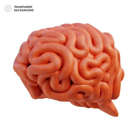 Premium Psd 3d Render Of Human Brain Anatomy
