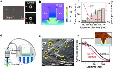 5 Zero Mode Waveguides For Enhanced Fluorescence Detection A