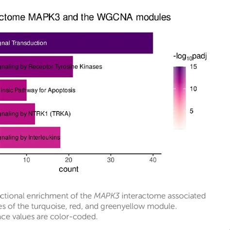 Gene Functional Enrichment Of The A Wgcna Module Red B Wgcna