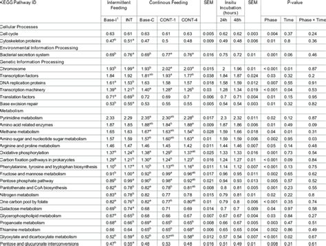 Predicted Functional Pathway Analysis Using The Kyoto Encyclepedia Of