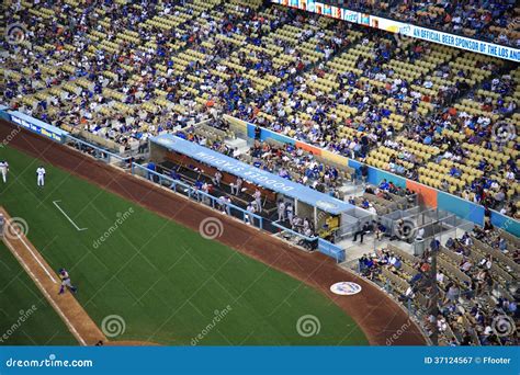 Baseball Dugout Seats At Phillip Hayes Blog