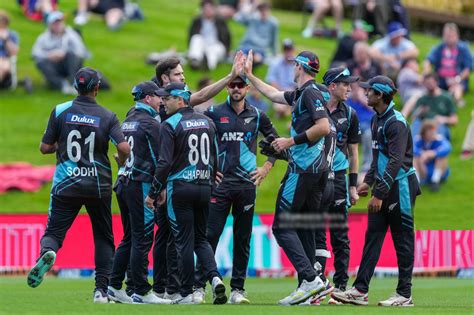 කිවි පිතිකරුවන්ගේ ප්‍රහාර හමුවේ සිංහයෝ පසුබසිති