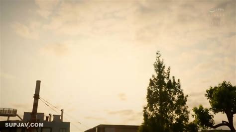 Royd 156 Neighbor Gacha Ur Confirmed Performance The P Eporner