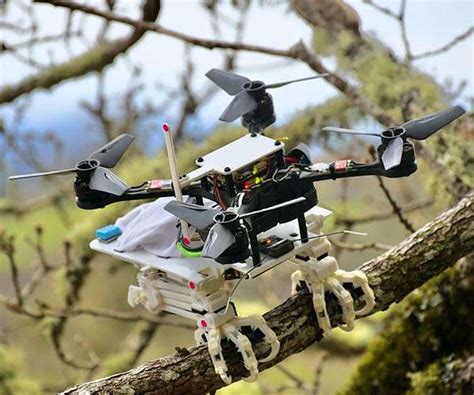 Stanford Engineers Create Perching Bird Like Robot