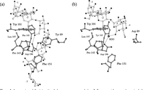 Figure 1 From Rational Design Of Cyclodextrin Glycosyltransferase From Bacillus Circulans Strain