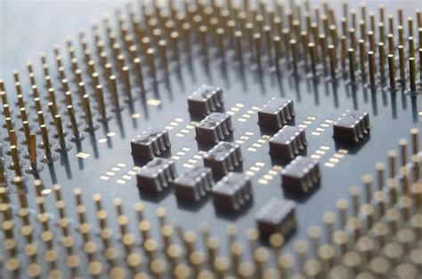 Premium Photo The Microprocessor From The Computer Lies With Its Paws Up Closeup