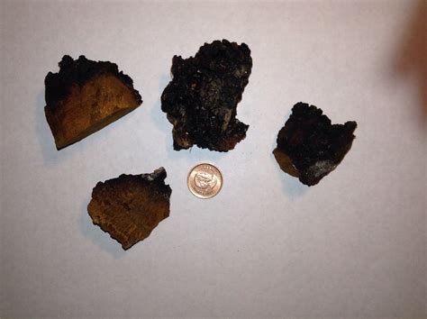 Chaga J V U M