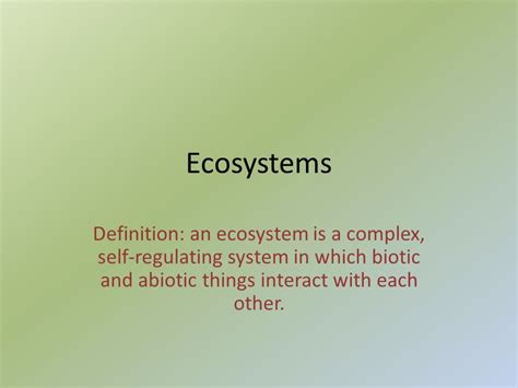 Ecosystem Definition