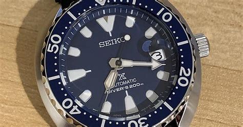 Mini Turtle Album On Imgur