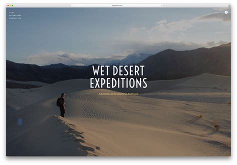 21 Best Squarespace Website Examples 2024 - Colorlib