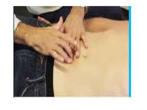 Physical Assessment Techniques Ippa Pdf Pptx