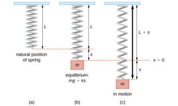 Simple Harmonic Motion Calculus III