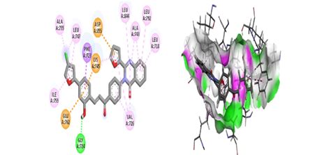 3d And 2d Interactions Of Designed Compound 6 With The Active Site Of