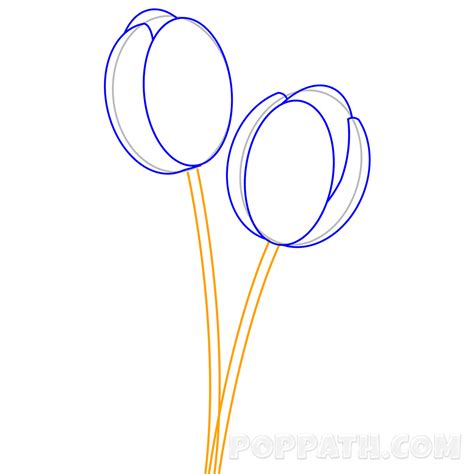 How To Draw A Tulips Pop Path
