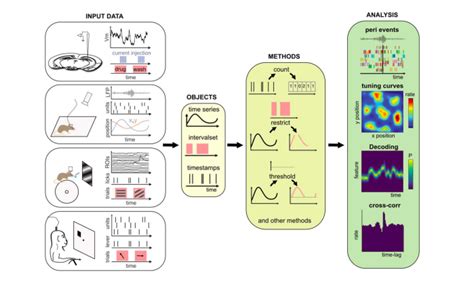 pynapple openbehavior