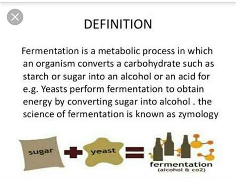 What Is Fermentation Definition And Examples 50 OFF
