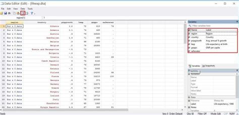 How To Do Descriptive Statistics In Stata A Comprehensive Guide With Example