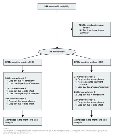Figure 1 From Efficacy And Safety Of Daily Home Based Transcranial Direct Current Stimulation As