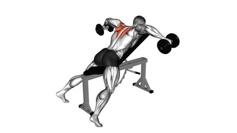 Dumbbell Reverse Fly Maniacmuscle