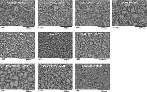 Figure 2 from Classification of scanning electron microscope images of ...