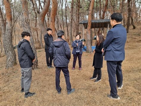 성주군 봄철 소나무재선충병 방제 사업다음달 말까지 노컷뉴스