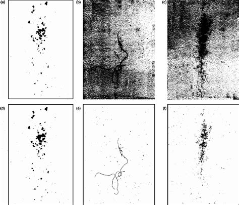 Processed Images Using The Otsus Method Ac Segmentation Results Download Scientific