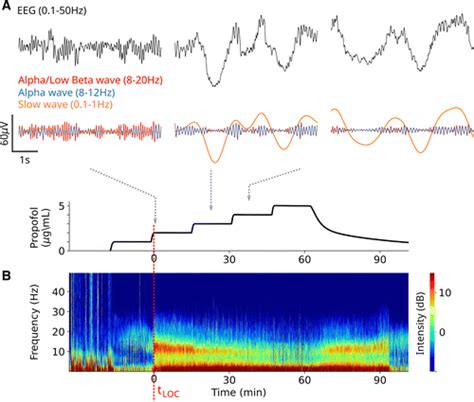 Rapid Thalamocortical Network Switching Mediated By Cortical