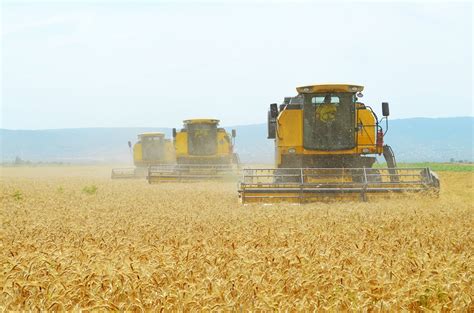აგროსაინჟინრო კვლევის სამსახური