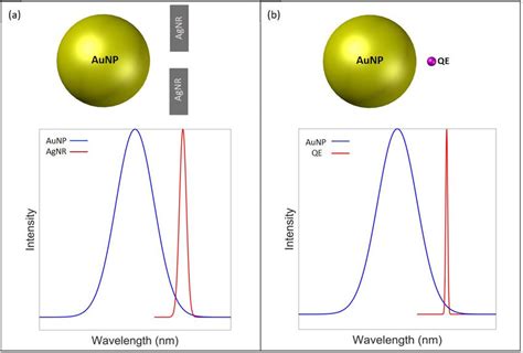 A Au Nanoparticle Aunp Supporting Bright Plasmon Mode And Ag Download Scientific Diagram