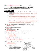 Chapter 12 Study Guide Key 2017 Doc Name KEY Date Hr Chapter 12 Study Guide DNA And RNA