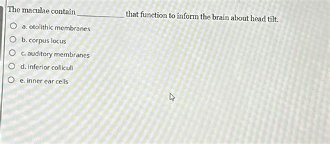 Solved The Maculae Contain That Function To Inform The Brain