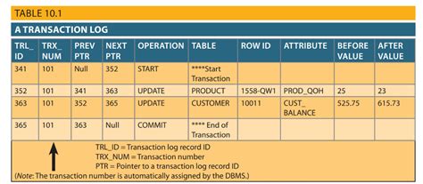 solved here is the script database systems