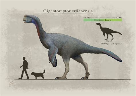 Gigantoraptor Erlianensis By Saulcontilde On Deviantart Gigantoraptor Erlianensis By Saulcontilde On Deviantart